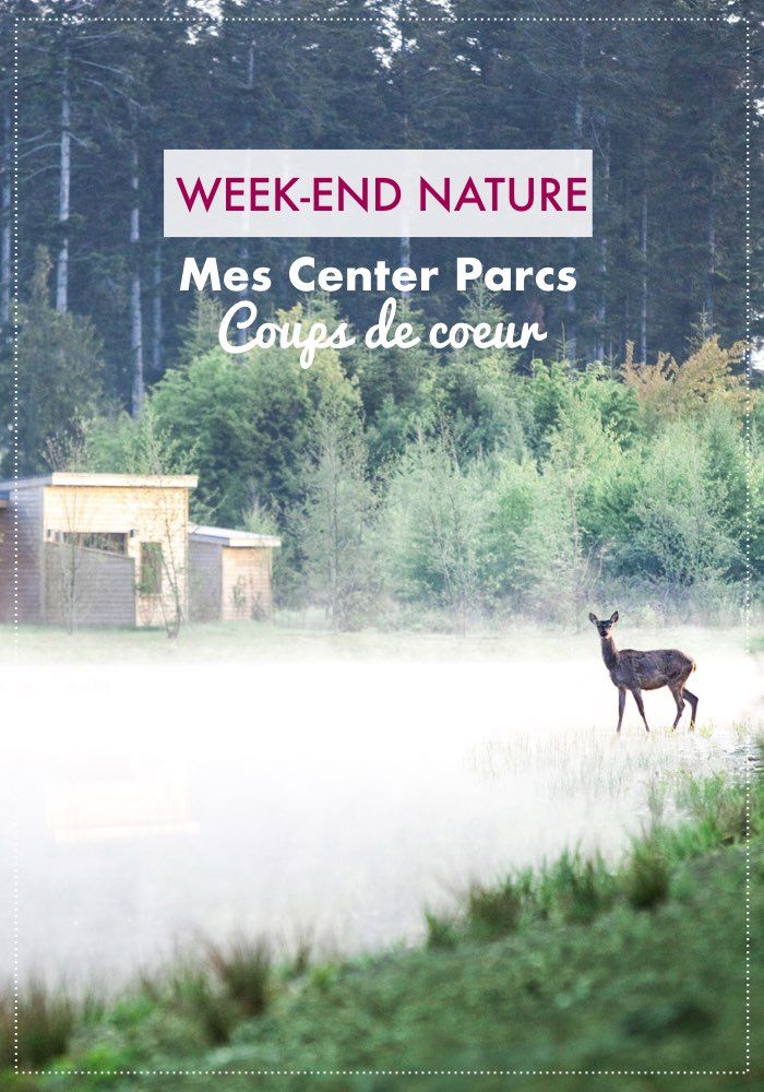 Week-end nature : quel Center Parcs choisir en famille