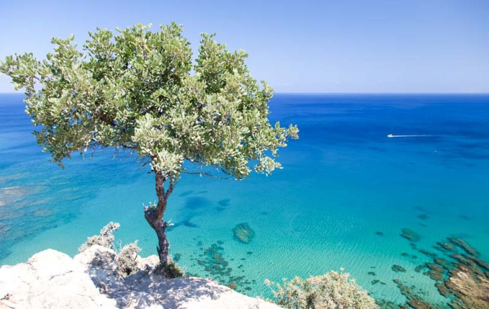 Visiter Chypre : les incontournables en été