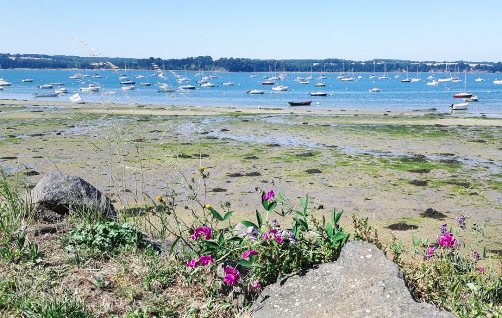 Que faire en Bretagne : top 10 des activités en famille