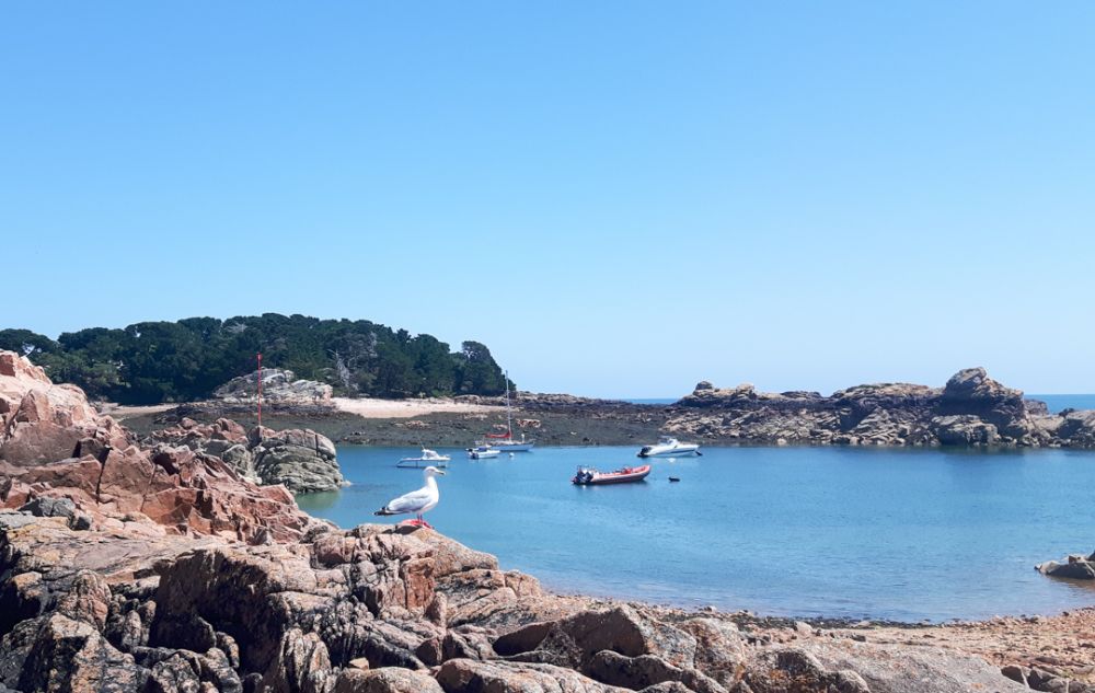 Que faire en Bretagne : top 10 des activités en famille