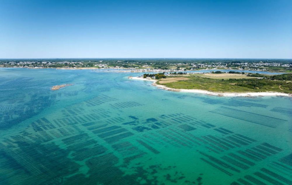 Visiter Carnac en 8 expériences originales