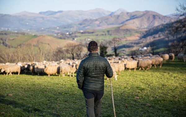 Week-end au Pays Basque dans une ferme de fromages bio
