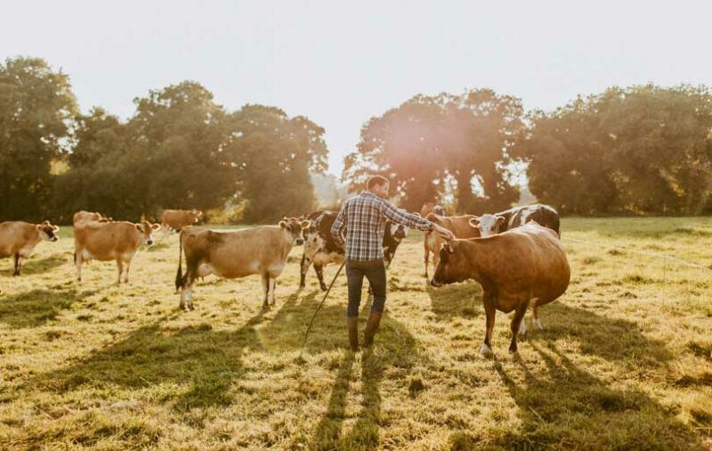 Vacances à la ferme : les 8 meilleures adresses en France