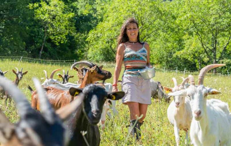 Vacances à la ferme : les 8 meilleures adresses en France